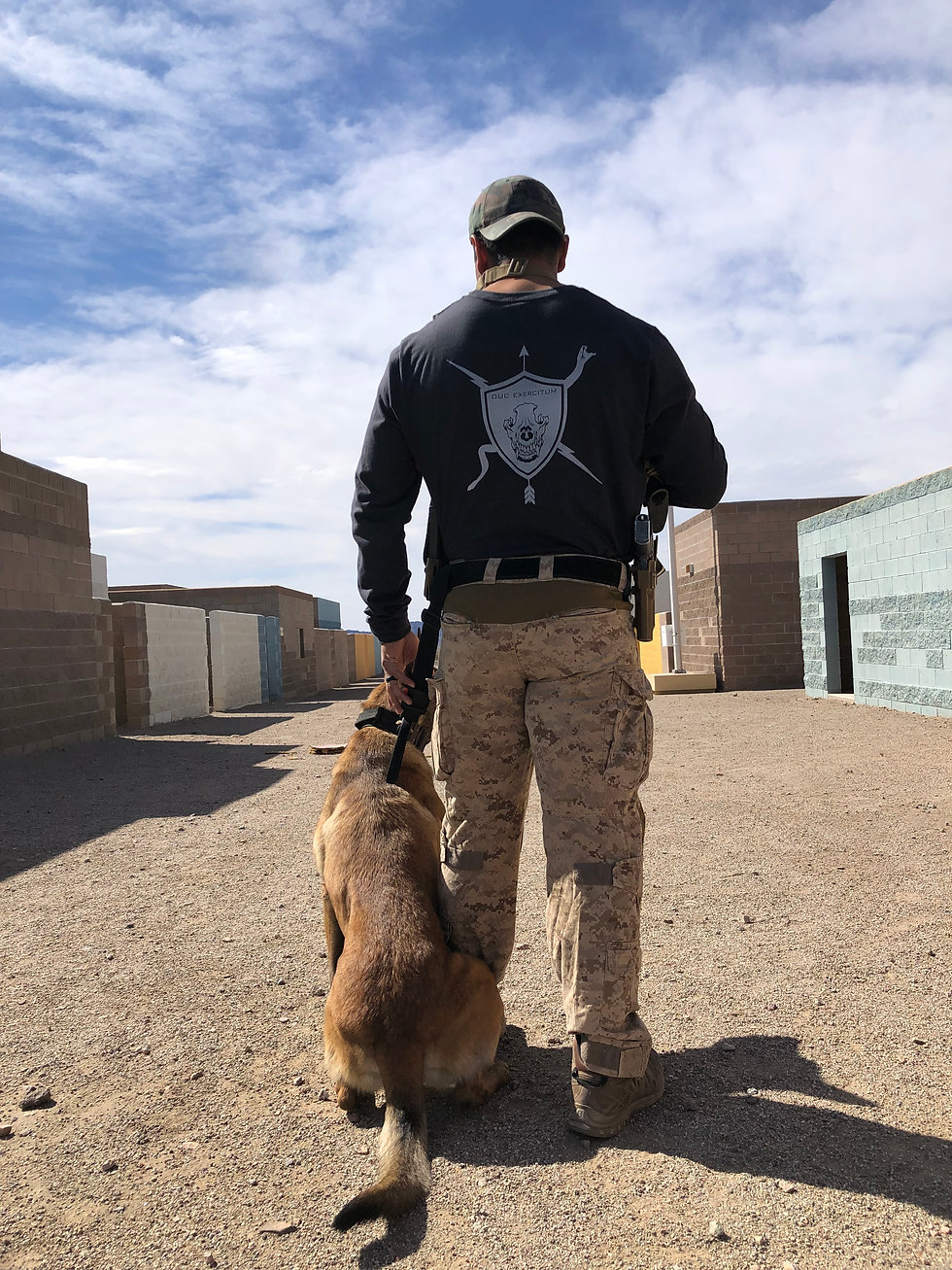 Home | Duc Exercitum