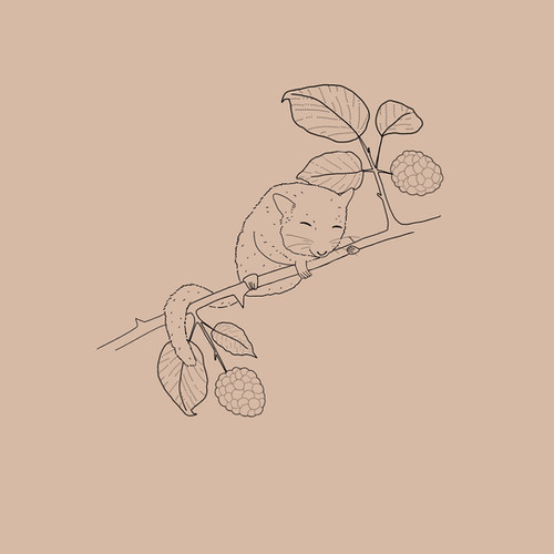 Field mouse and berries | Personal website