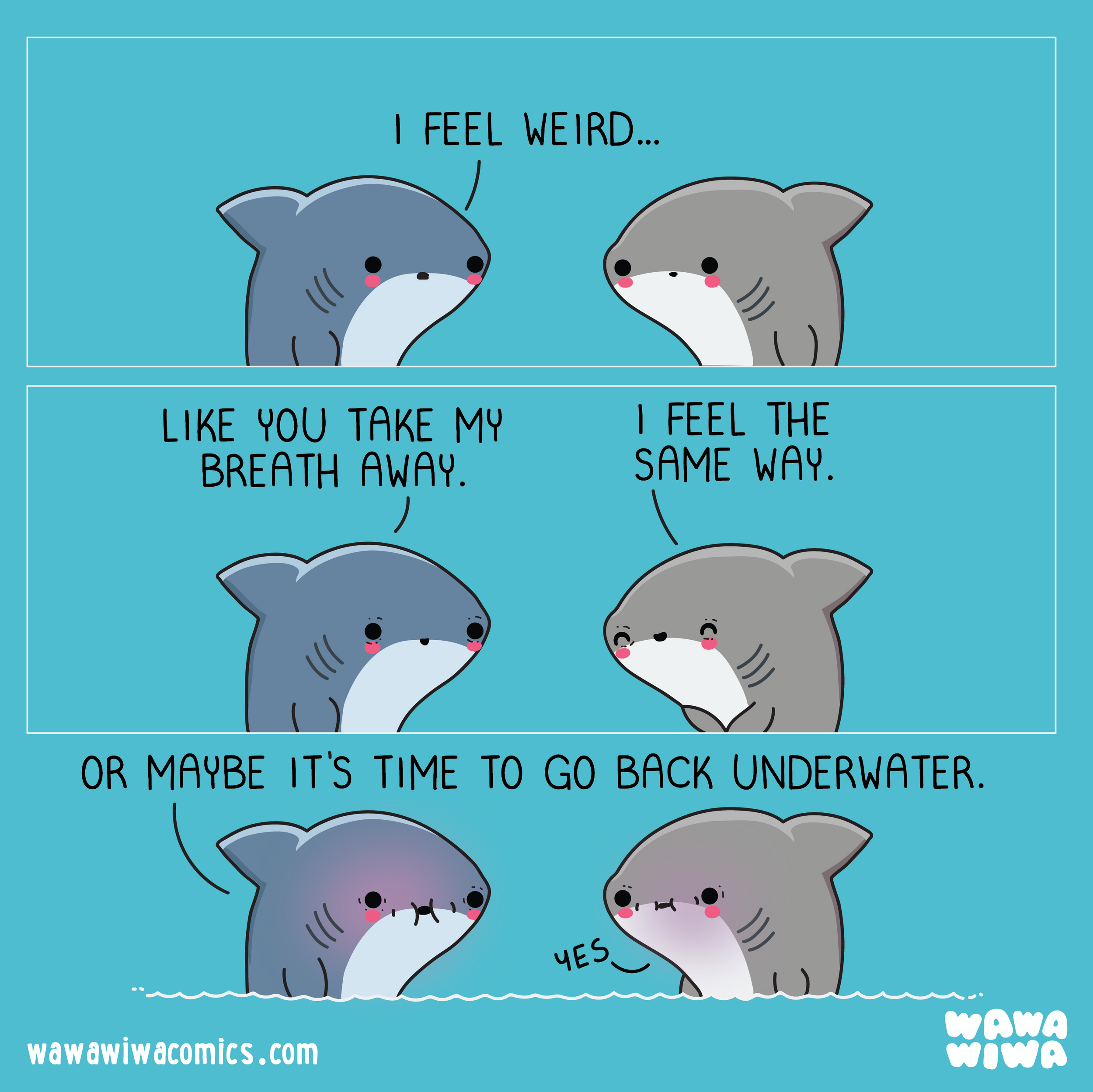 Awkward Shark Memes