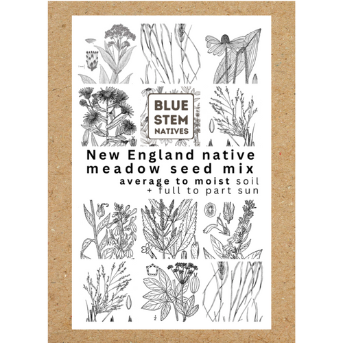 Seeds: Native wildflower meadow (average to moist soil), SEED MIX ...
