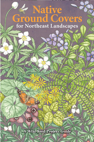 Book: Native Ground Covers for Northeast Landscapes | Blue Stem Natives