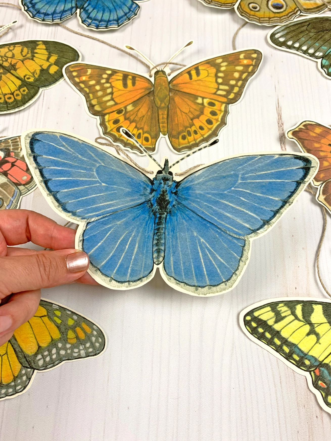 Eastern U.S. Native Butterfly Illustrated Garland | Blue Stem Natives