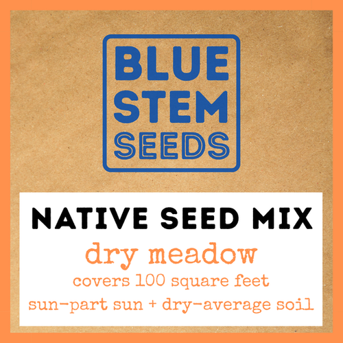 Seed Mix: Native Meadow (drier soil) | Blue Stem Natives