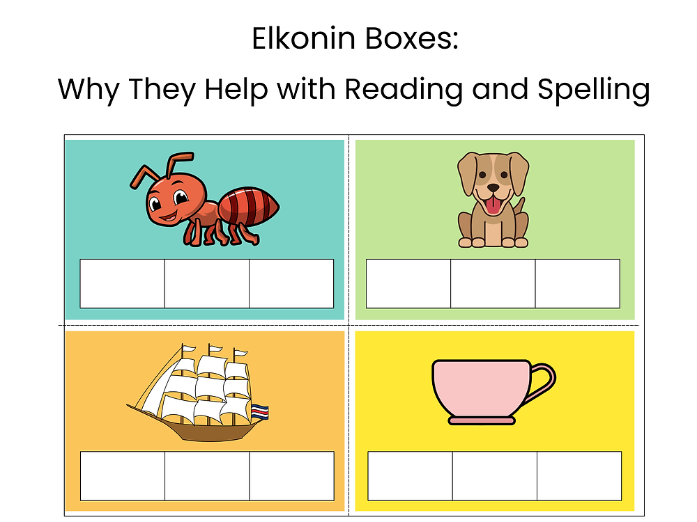 🧠 Elkonin Boxes—and Why They Help with Reading and Spelling
