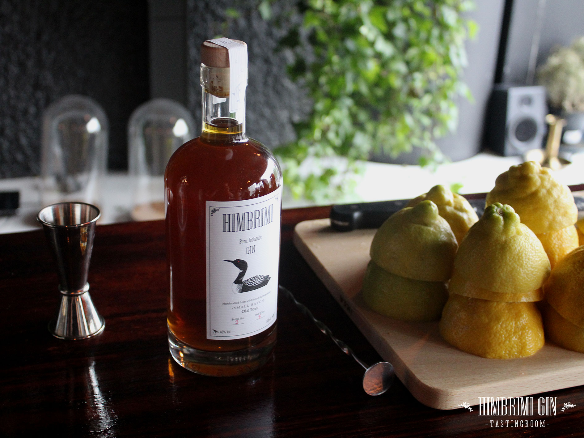 Himbrini Icelandic Gin : Himbrimi Winterbird – OLAFA