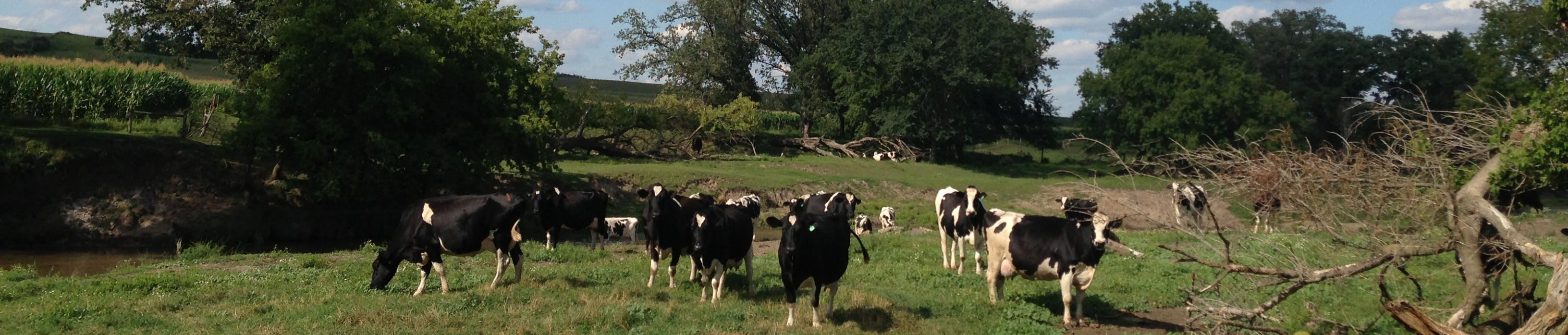 Home | Hegg Mill LLC | United States