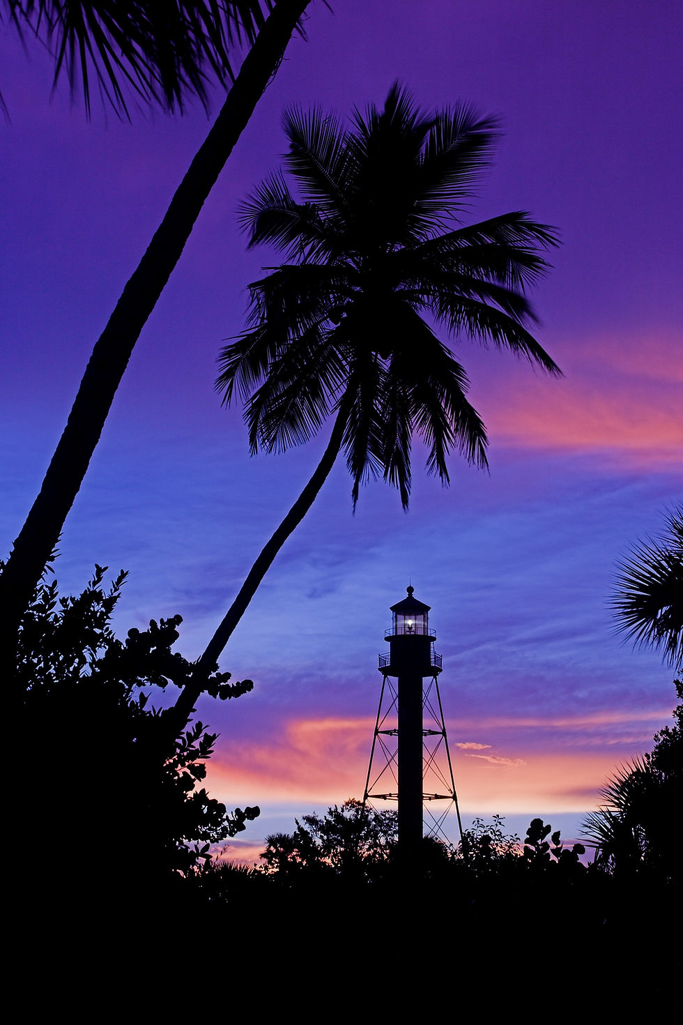 Buck Ward | towergallery