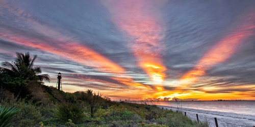 Ta Da! - a photograph by Buck Ward | towergallery