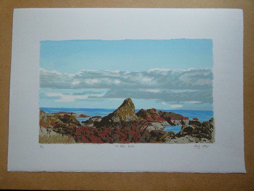 St Abbs Rocks Screen Print | Louise Meny Art