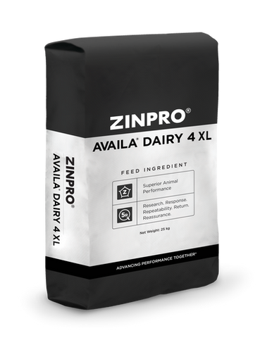 Availa Dairy 4 XL | Alfa-Vet