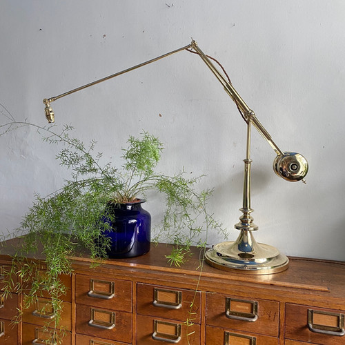 Articulated and Weighted Lamp | Briggs & Oliver