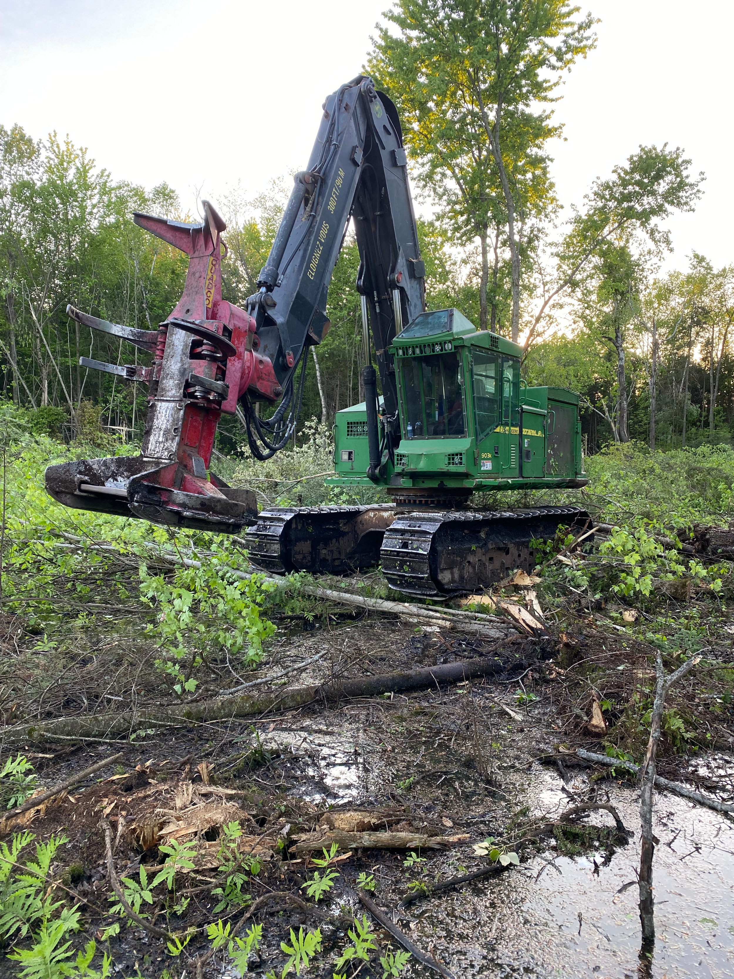 Land Clearing, Tree Removal, Barrel Saunas, Rough Sawn Lumber ...