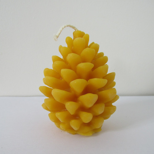 Pine cone candle | DownUnder Honey