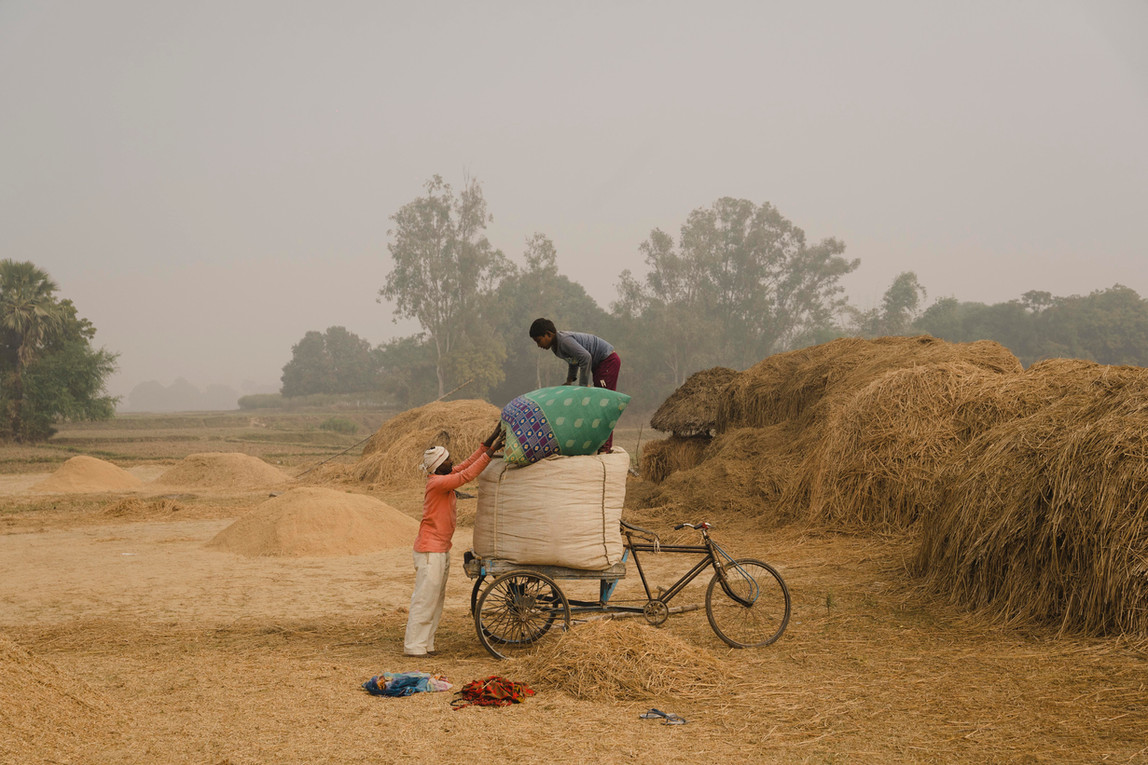 Roshani Shah | Photographer | @roshagulla