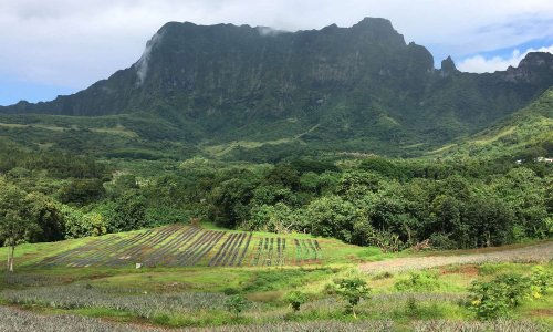 Pourquoi gâcher la vallée de Faaroa