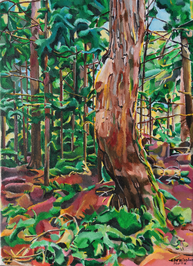 Landscapes | Christopher Martin Art