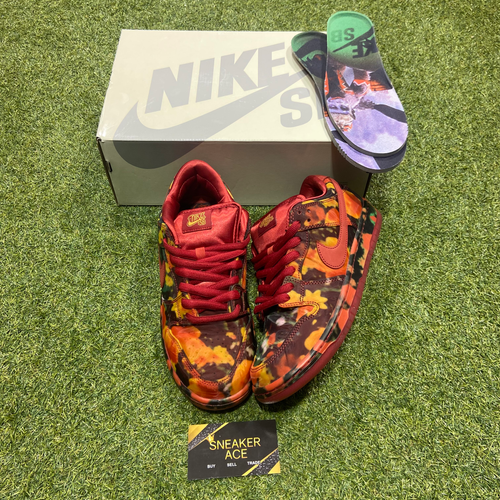 Poppy Field The Wizard Of Oz Dunk Low SB: 9 | Sneaker Ace