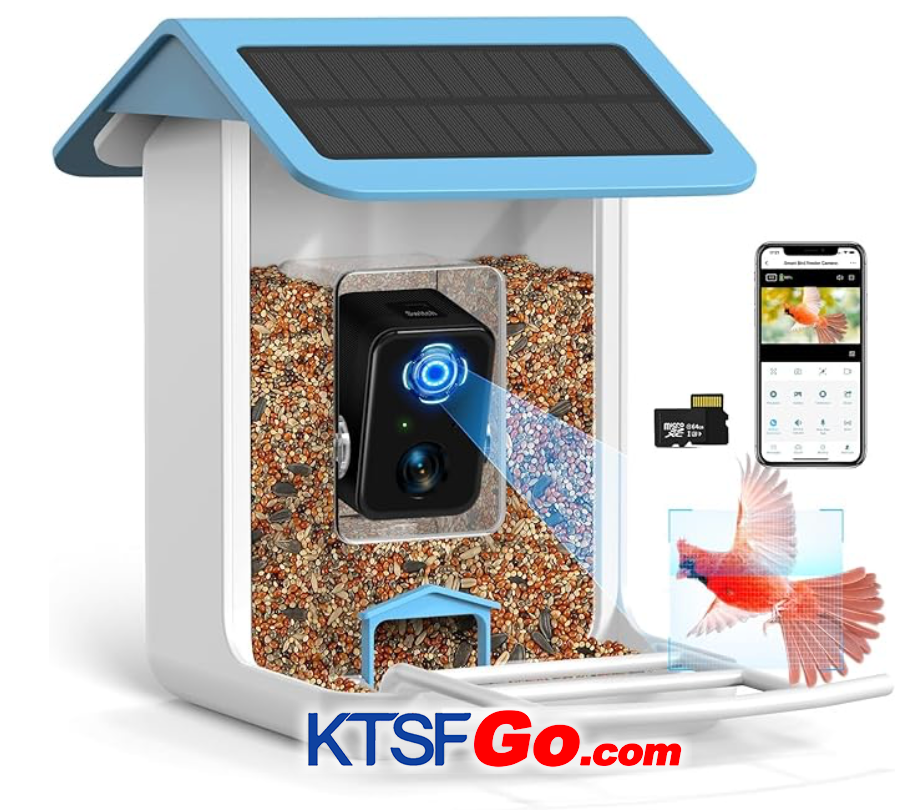 Exploring Nature's Secrets: Bird Feeders with Camera