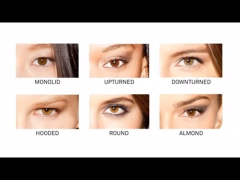 Eye Shapes and Eyeshadow Placement | thebeautyroom