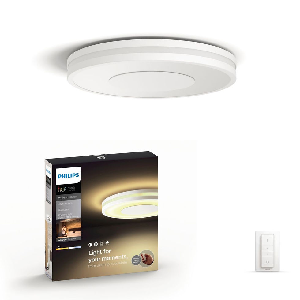 Philips HUE Being 32W 天花燈 | E Lighting E-Shop