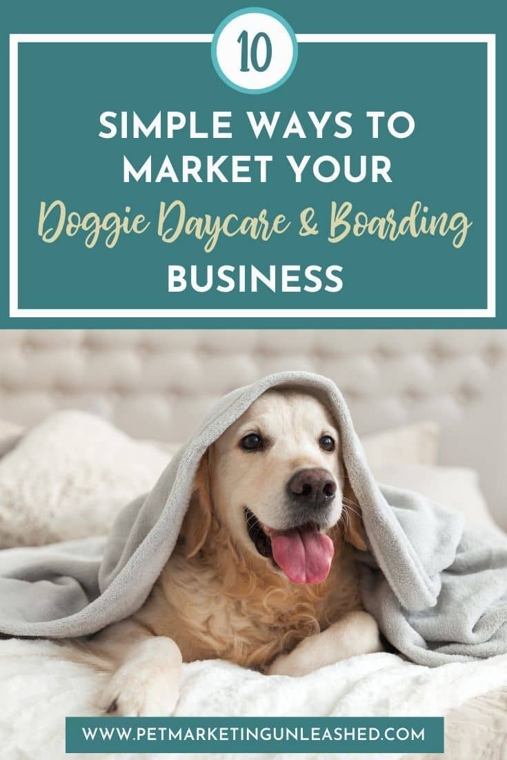 10 Simple Ways to Market Your Doggie Daycare & Pet Boarding Business ...