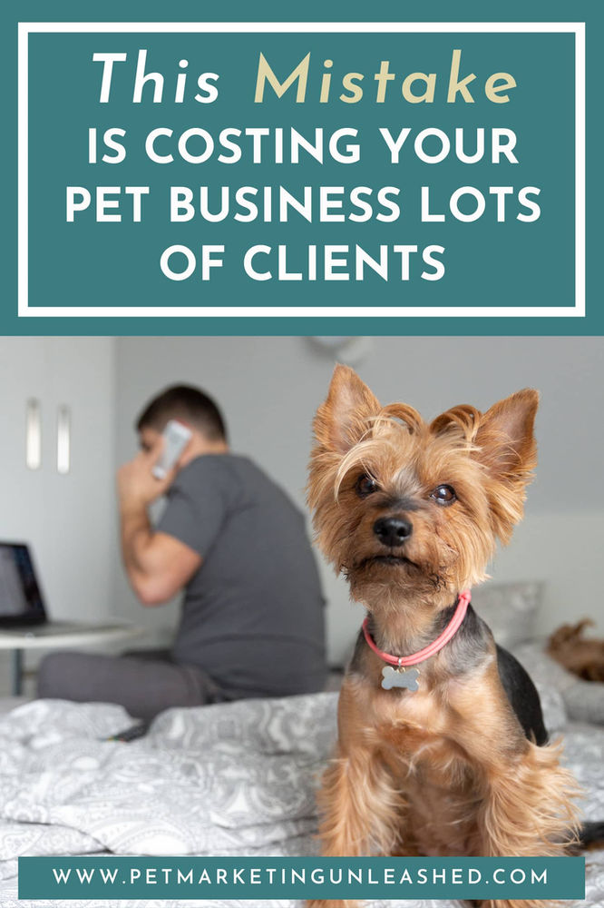 This Mistake is Costing Your Pet Business LOTS of Clients