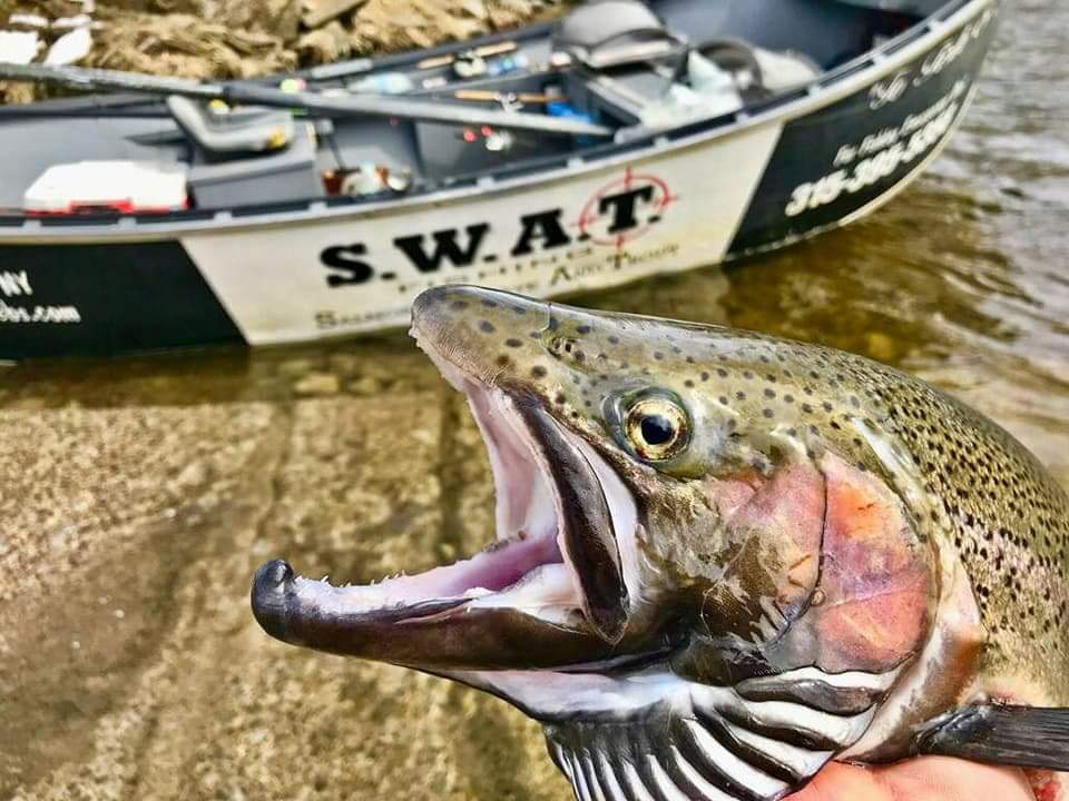 Fishing Guide Pulaski Ny | NY | SWAT Fishing Guide Service