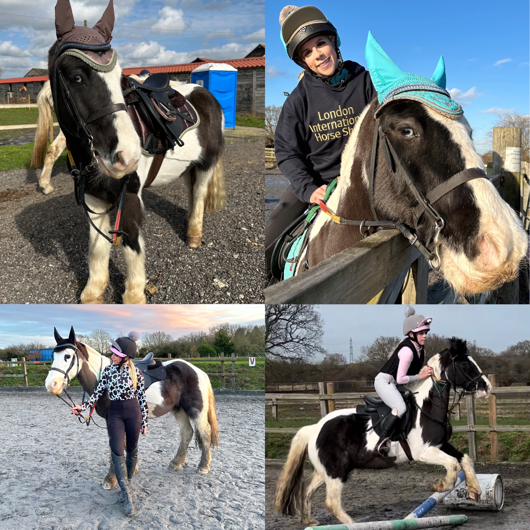 Online Horse Showing: March Results