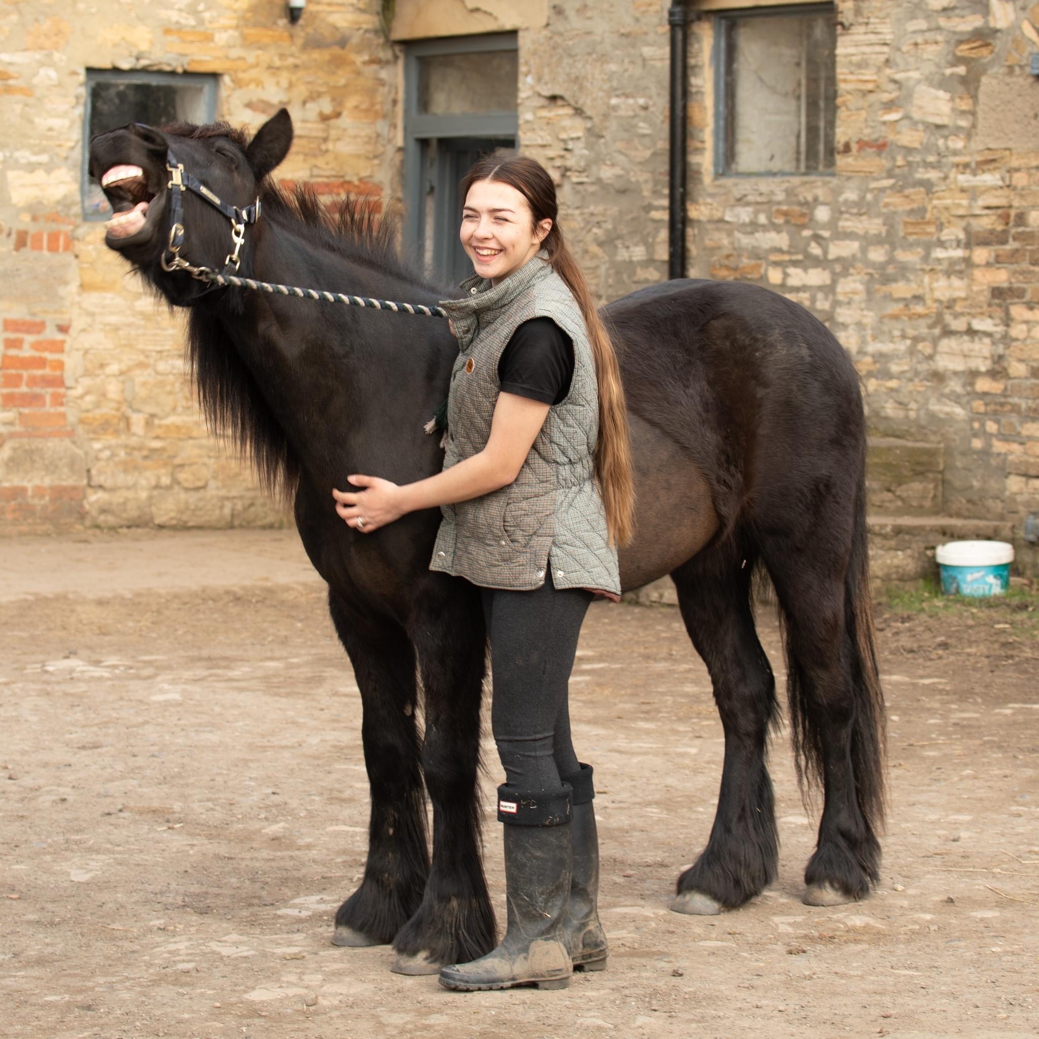 Online Horse Showing: January / February 2024 Results
