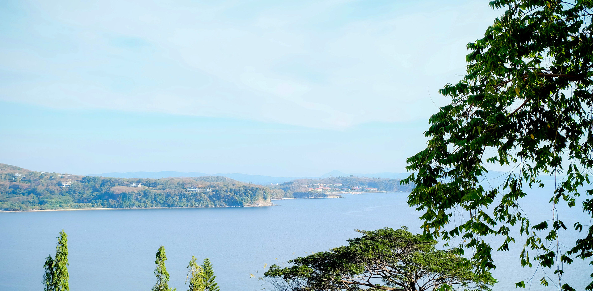 AngelsCove | angelfields