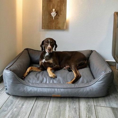 Orthopaedic dog bed washable, odour-free & hygienic | Mcafee S