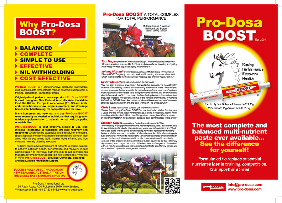 Pro-Dosa Boost, complex oral supplements for horses | Equine recovery paste