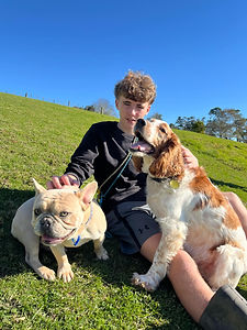 Dog Walker | Becky's Dog Walking