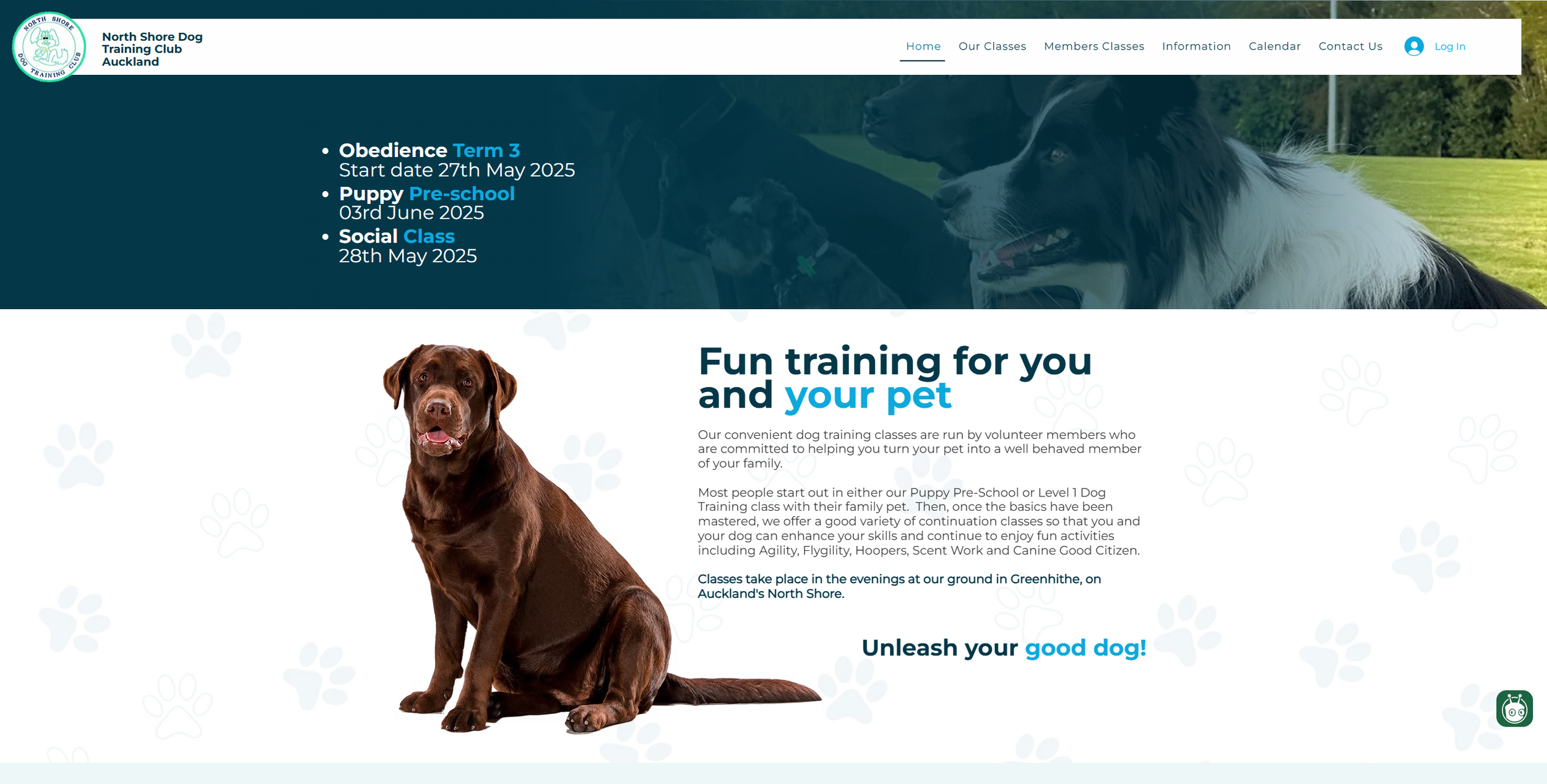 Agility Training for Dogs | North Shore Dog Training Club