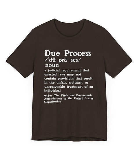 due process constitution