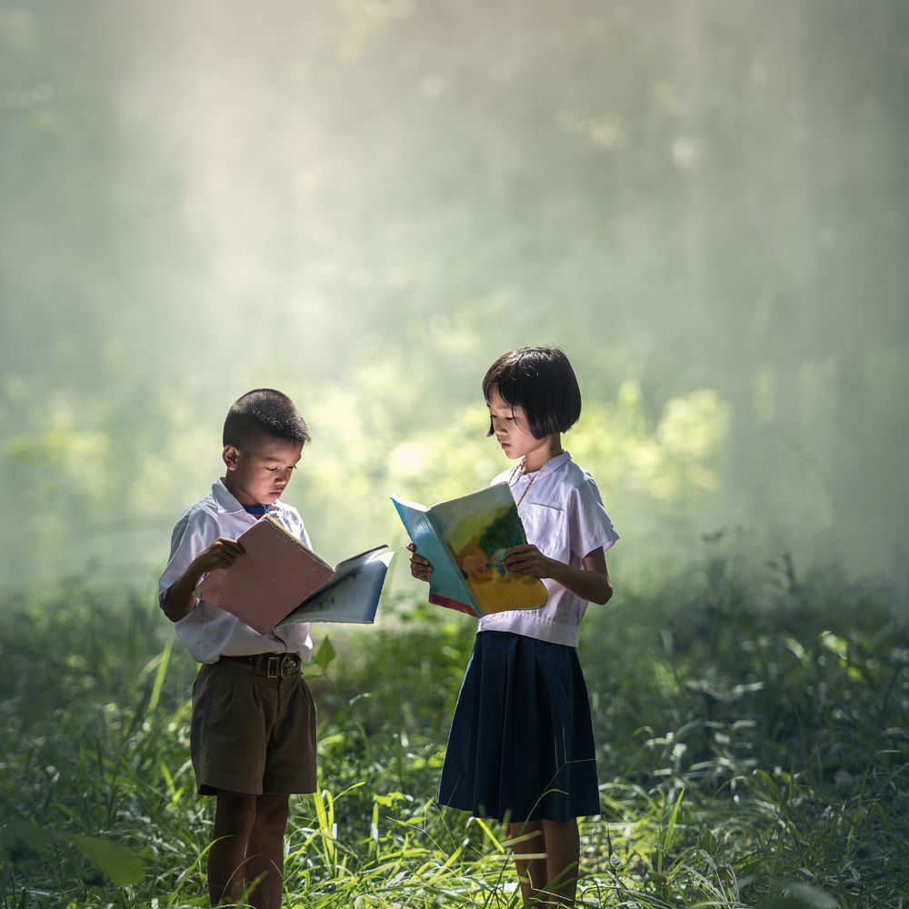 Role Of Environment In Child Development role-of-environment-in-child-development