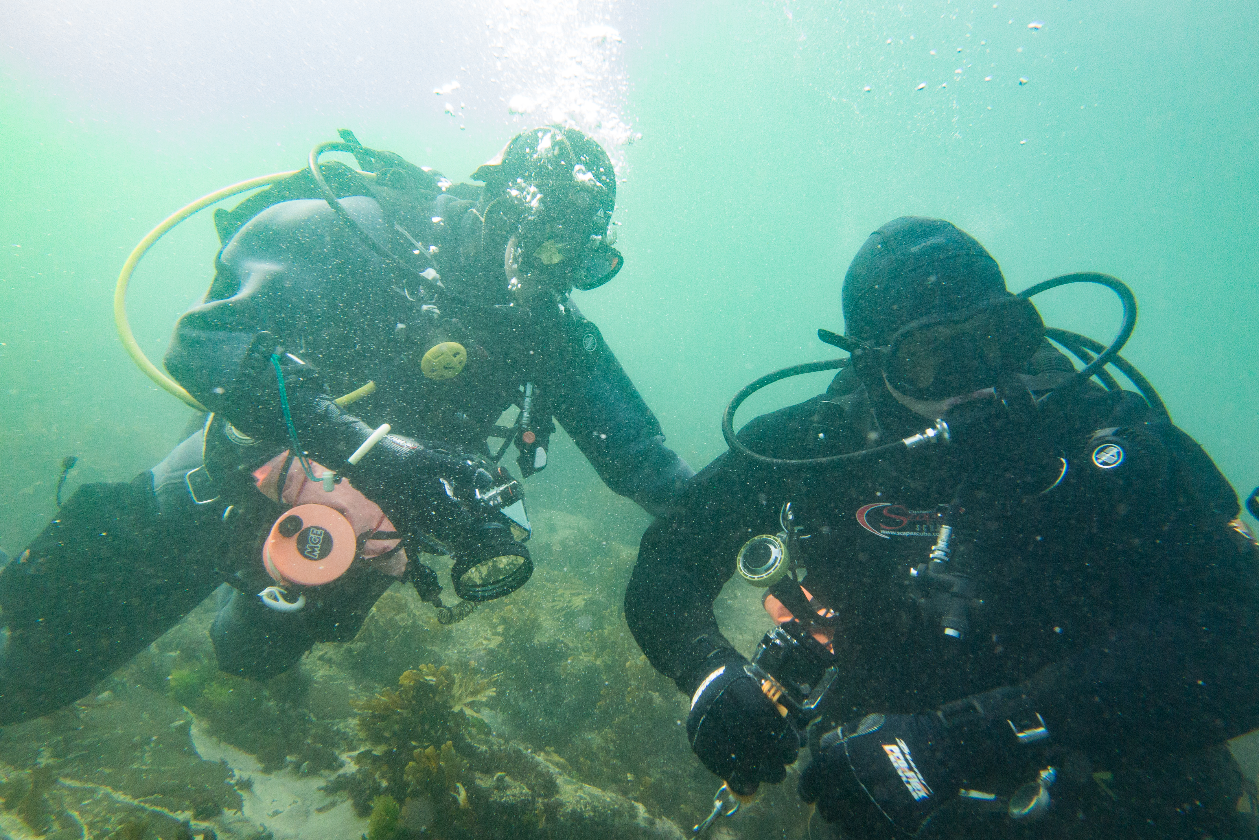 Photo Souvenirs | Kraken Diving