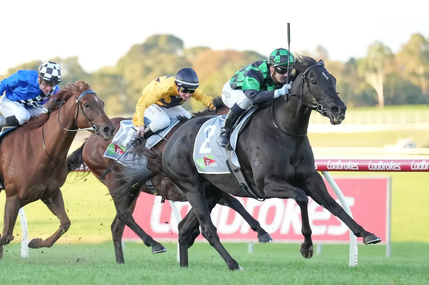 Hayes brothers looking on Brightside with Barbie’s Fox