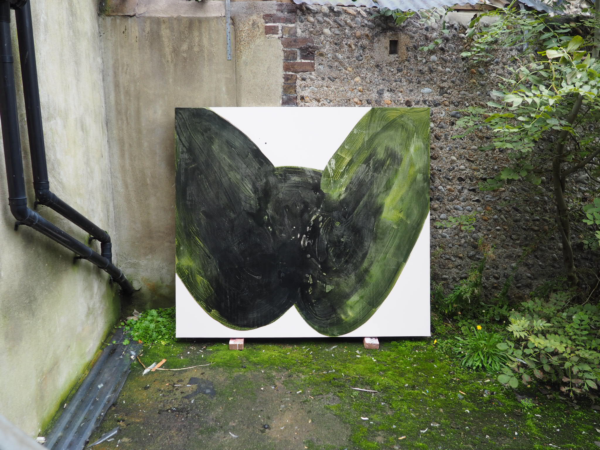 Sara Dare, Artist & Painter