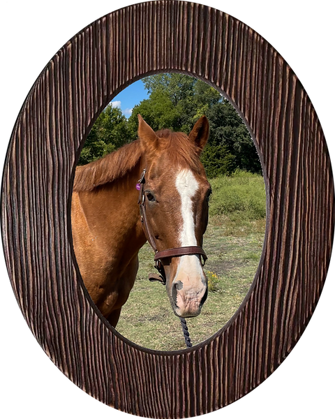 Equine Staff | Texas Equine