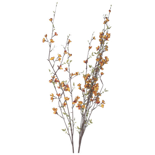 Russet Flower Branch | The Wisteria Tree