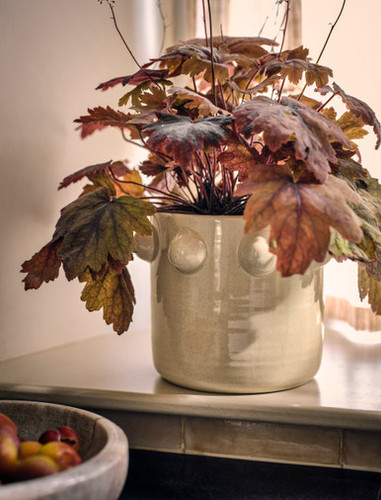 Windsor Natural Stoneware Bobble Pot | The Wisteria Tree