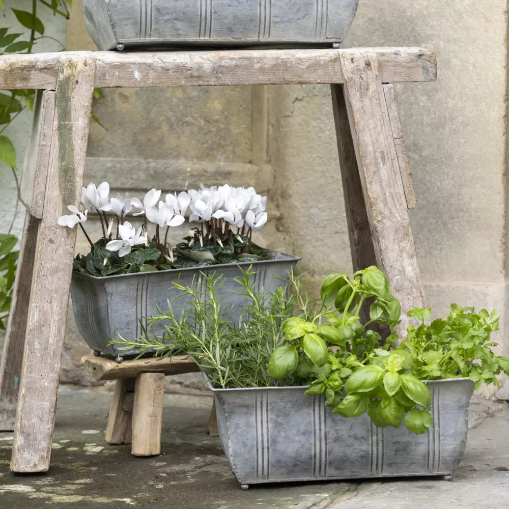 Zinc Ornate Outdoor Planters with Feet | The Wisteria Tree