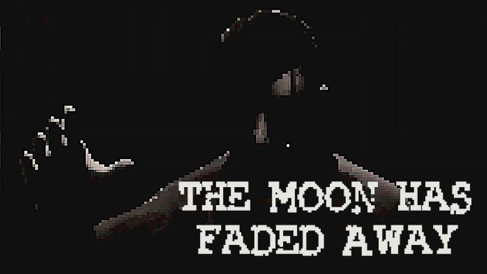 THE MOON HAS FADED AWAY: Survive the Aftermath of the Moon's ...