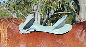 Wattus Cormick Saddle Trees | Saddle Trees | Clarence Valley NSW