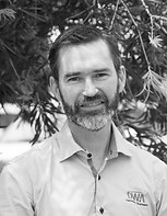 Our Team | David Wills and Associates