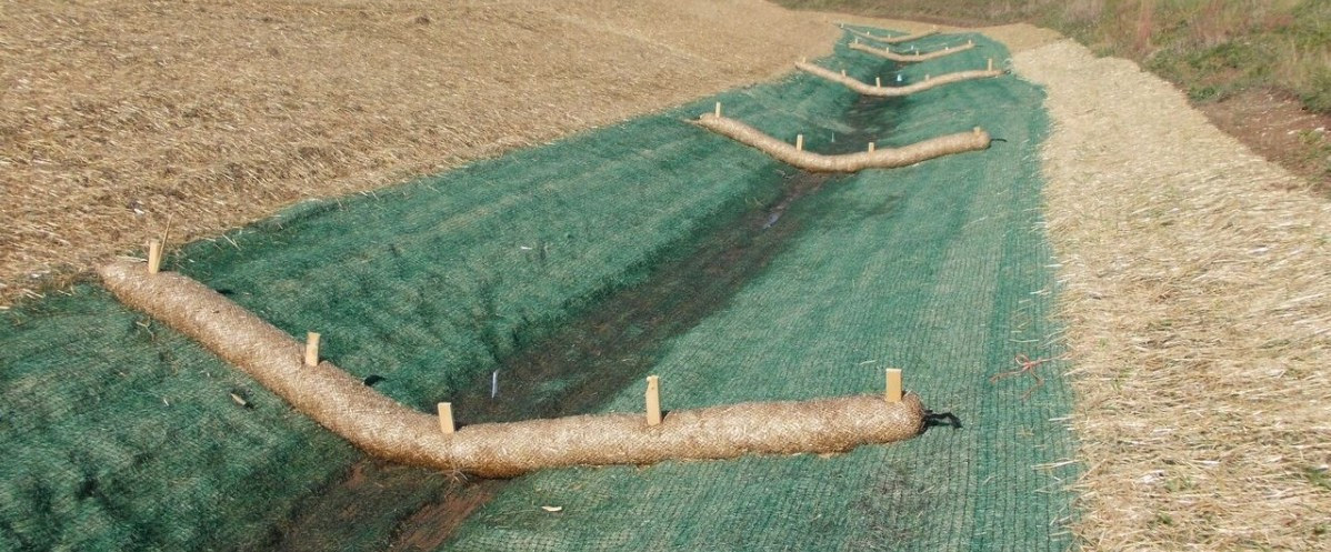 Check Dams: Slowing the Flow of Stormwater Runoff