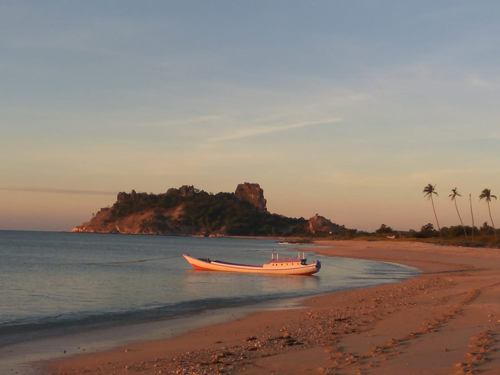 What’s So Special About NTT