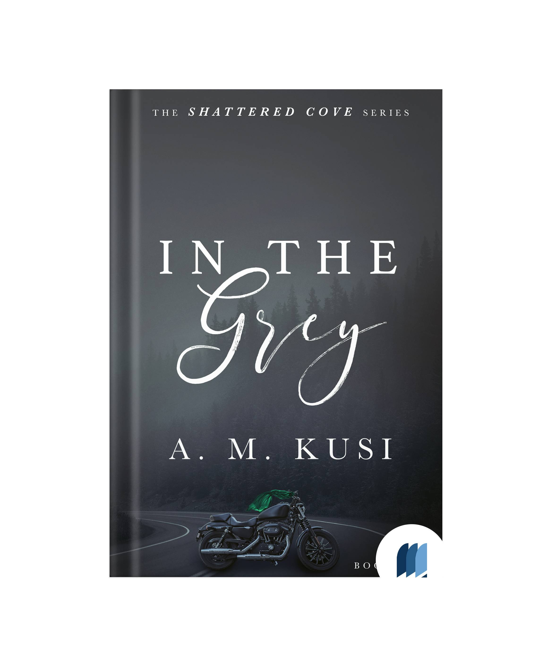 In the Grey by A.M. Kusi book free pdf download | Bookdio