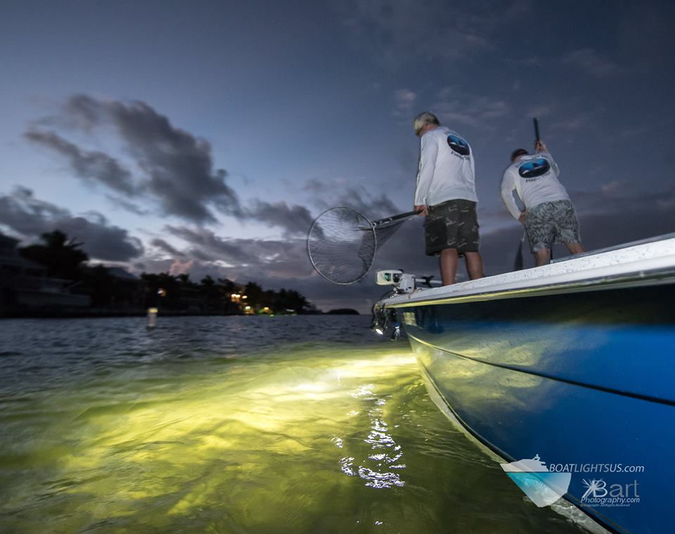 Fishing and Flounder Gigging Lights
